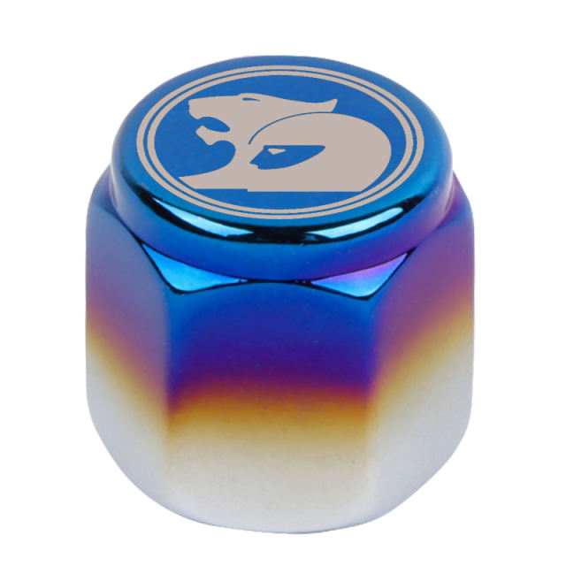 Burnt Blue HSV Metal Valve Caps – Walky Wheels Perth